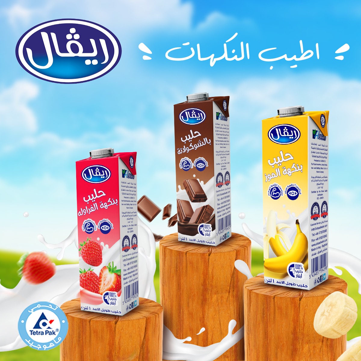 Contact Us – ALSSAD السد